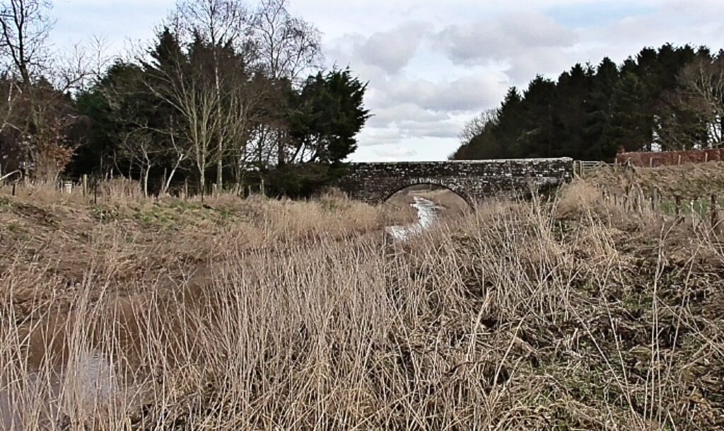 pow bridge 2 – Ley Lines, amplifying, ill health, how they work